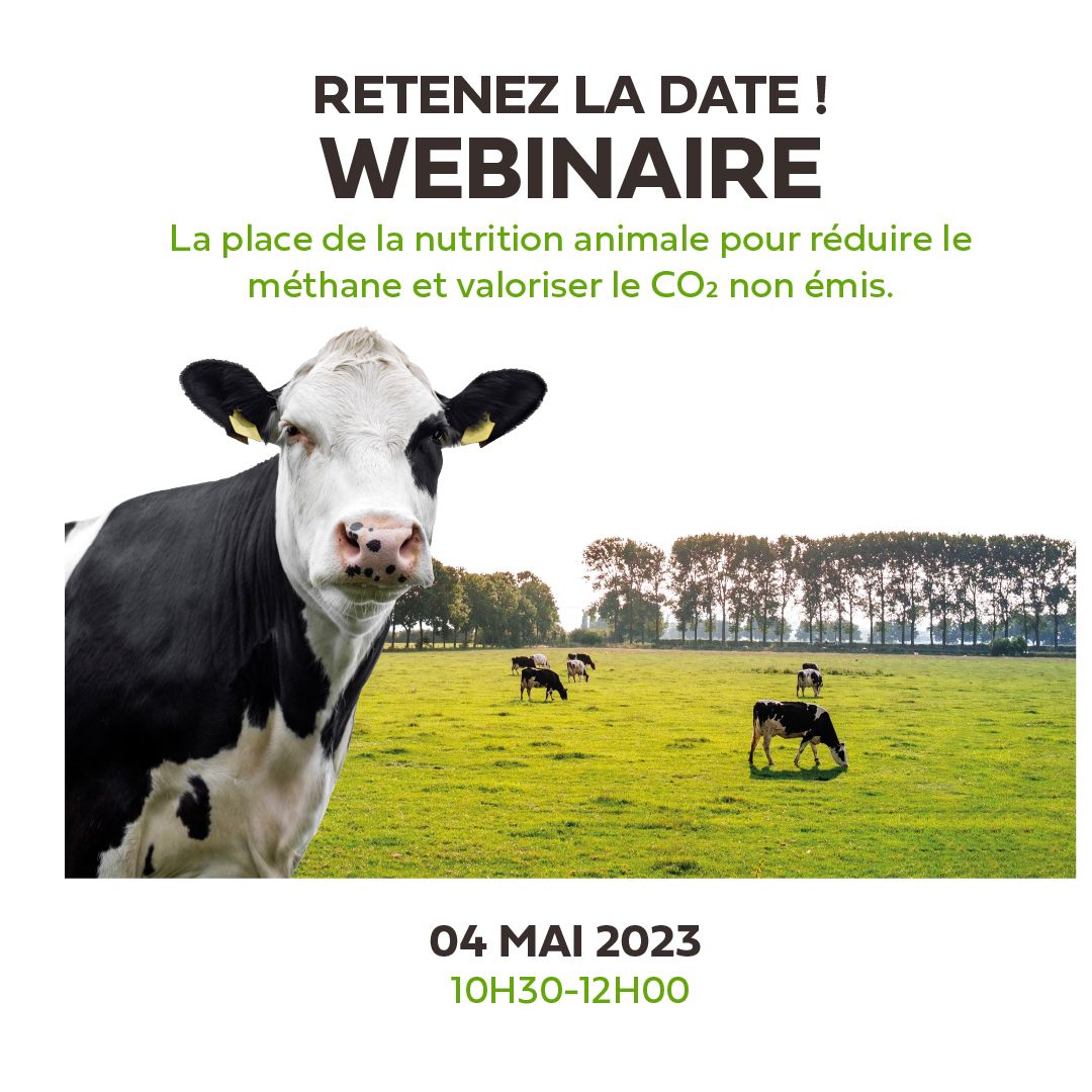 Webinaire nutrition animale Valorex - Novial