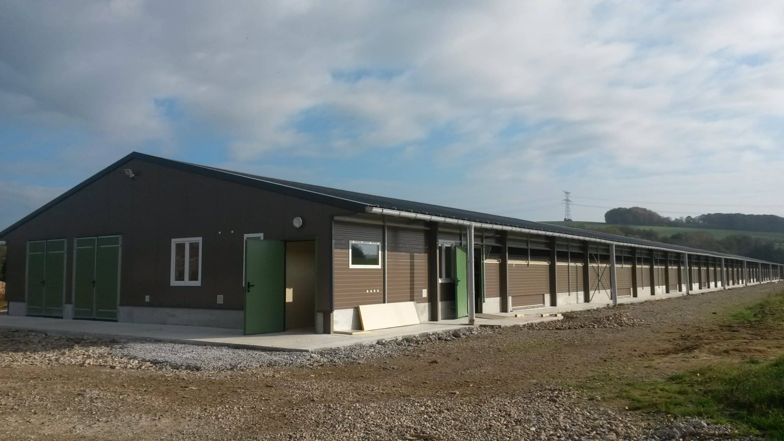 Projet d’élevage de volailles : Novial vous accompagne, de l’idée à la ...